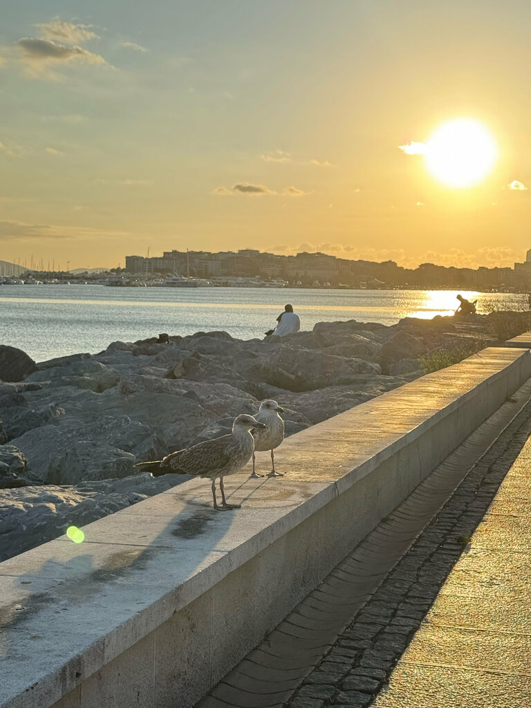 Kültür ve eğlence parkları İBB Pendik Sahil Parkı, İstanbul, foto