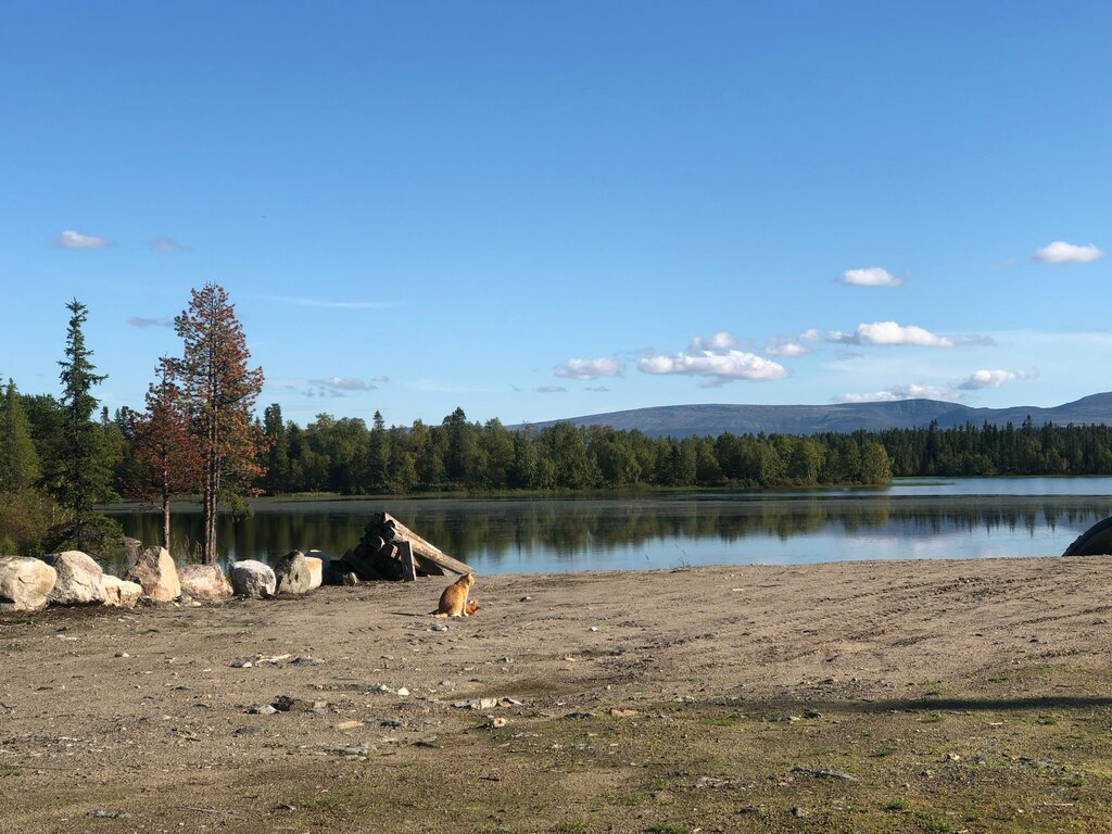 Tatil köyleri Поляна, Murmanskaya oblastı, foto