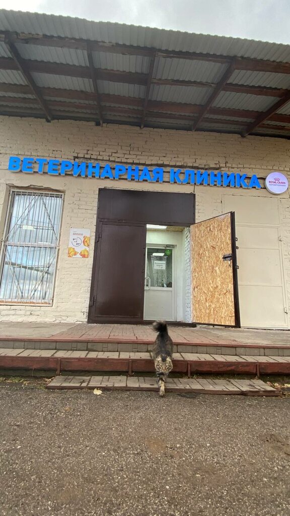 Veteriner klinikleri Добрый доктор, Permski krayı, foto