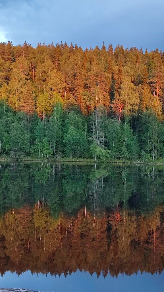 Kişisel gelişim merkezi Cosmoenergetics, Moskova ve Moskovskaya oblastı, foto