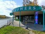 Megaflowers (Pobedy Avenue No:378В), çiçekçiler  Çeliabinsk'ten