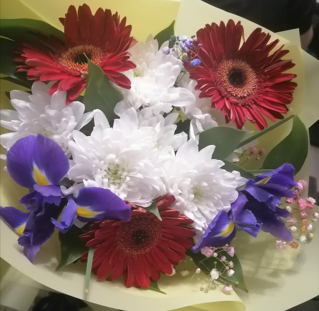 Çiçekçiler Цветочня лавка Фея, Novoçerkassk, foto