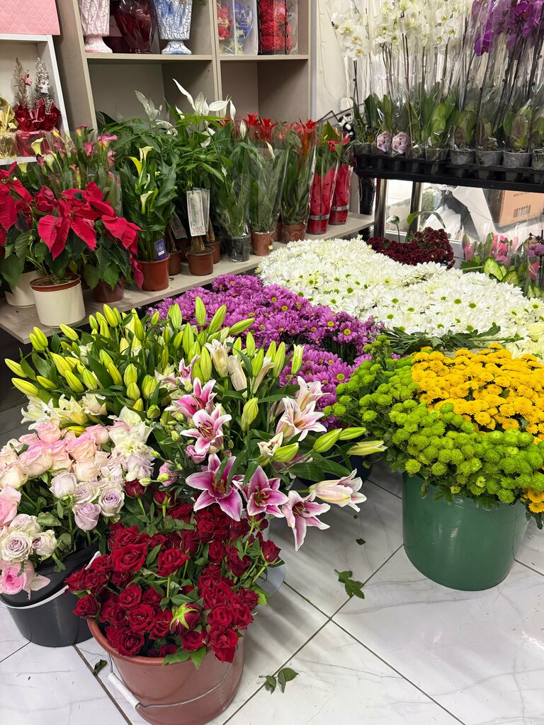 Çiçekçiler Ankara Çiçekçilik, Ankara, foto