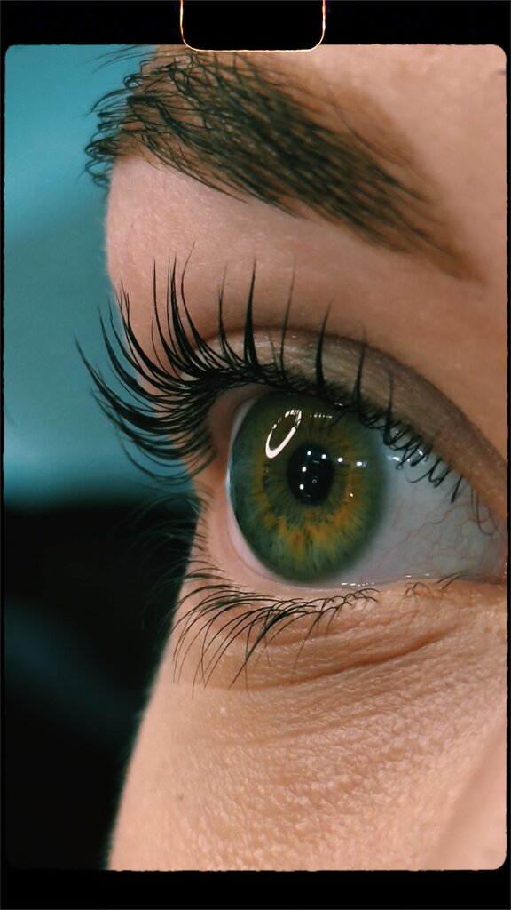 Kaş ve kirpik salonu Eyelid Rollers, Moskova, foto