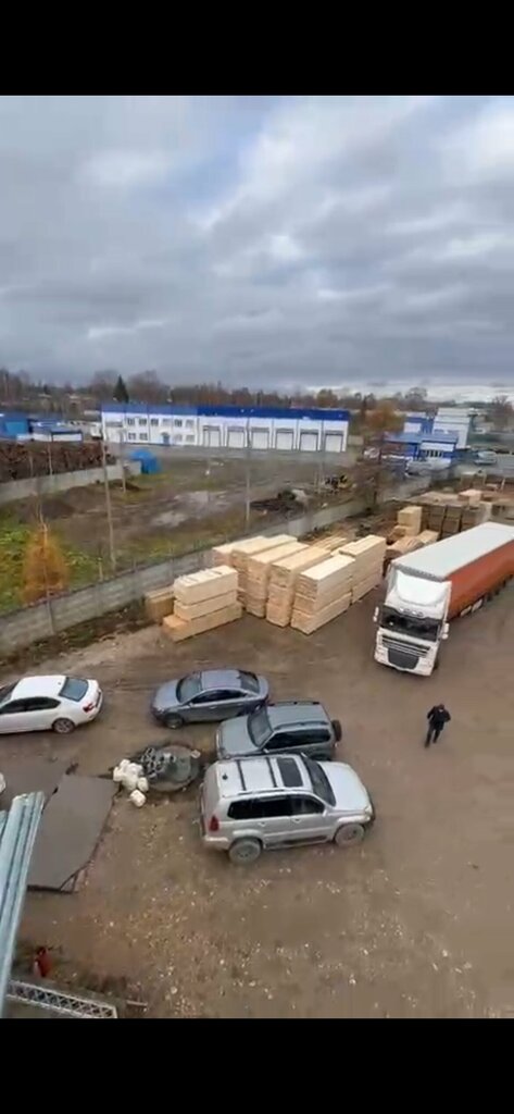 Kerestecilik, ağaç satışı Плесецкая КМТС, Arhangelskaya oblastı, foto