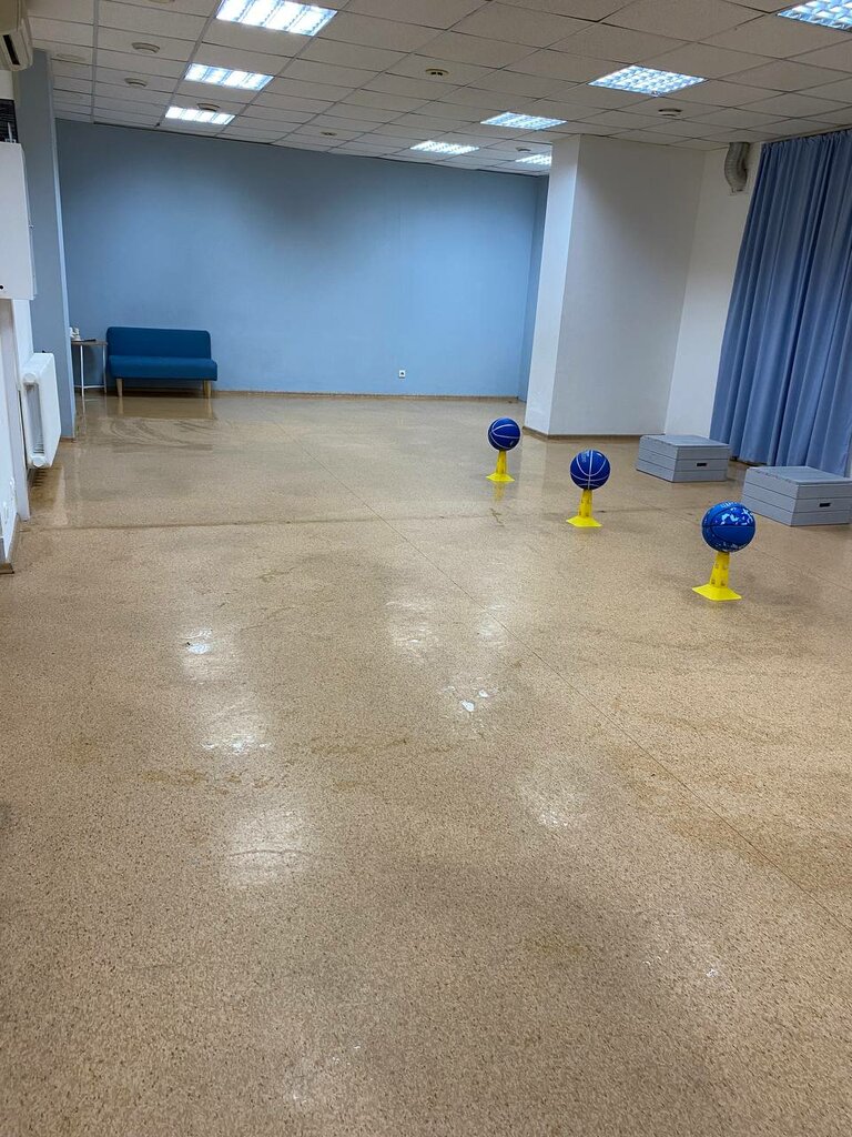 Köpek hizmeti Dogtevran, Samara, foto