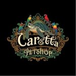 Caretta Petshop Toptan Ve Perakende (Muğla, Ortaca, Terzialiler Mah., Şerifnaz Başoğlu Cad., 24), petshop  Ortaca'dan