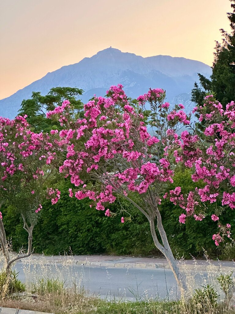 Plaj Cennet Koyu Antalya, Kemer, foto