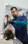 Peram Veteriner Kliniği - Nevşehir Veteriner - Acil Veteriner - Açık Veteriner (Nevşehir, Nevşehir Merkez, Zübeyde Hanım Cad., 30), veteriner klinikleri  Nevşehir'den