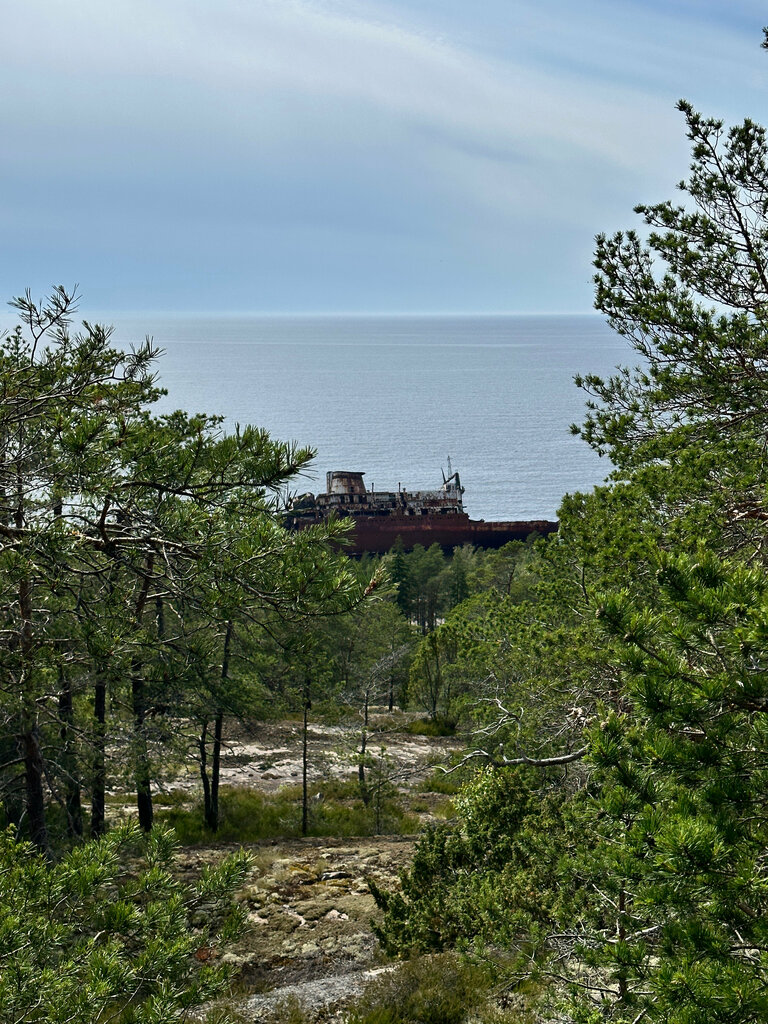 Turistik yerler Исследовательское судно Леонид Дёмин, Saint‑Petersburg ve Leningradskaya oblastı, foto