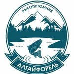 Алтай форель (Altai Territory, Sovetskiy rayon, selo Karasuk), balık çiftçiliği ve toptancıları  Altayski krayından