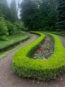 Stepanavan Dendropark (Lori Region, Stepanavan Dendropark), kültür ve eğlence parkları  Lori'nden