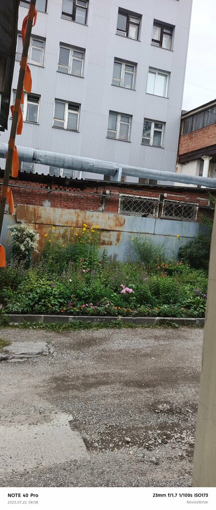Tarım makineleri, ekipmanlar Запчасти для тракторов и сельхозмашин, Novosibirsk, foto