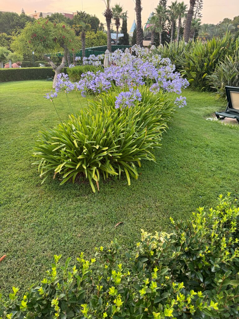 Plaj Pegasos Royal Hotel Plajı, Alanya, foto