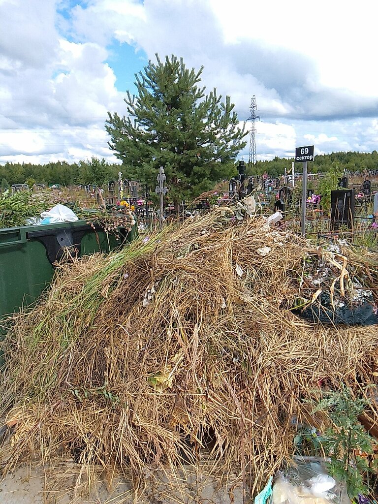 Mezarlıklar Маймаксанское кладбище, Arhangelsk, foto