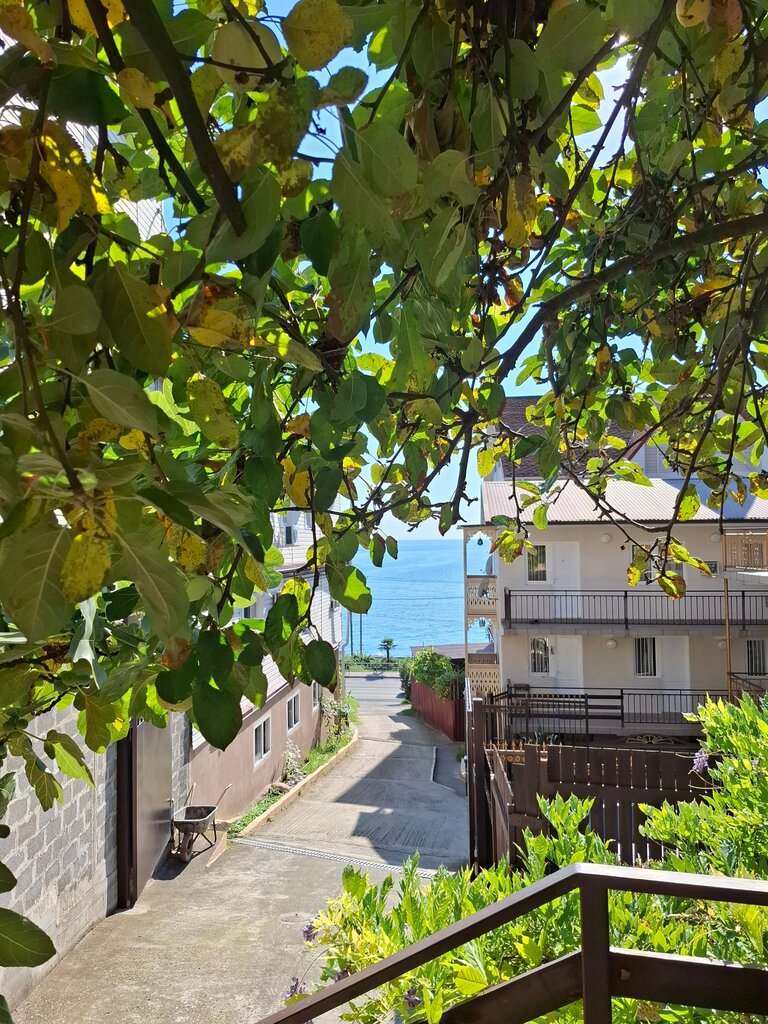 Konuk evi Лазурный, Soçi, foto