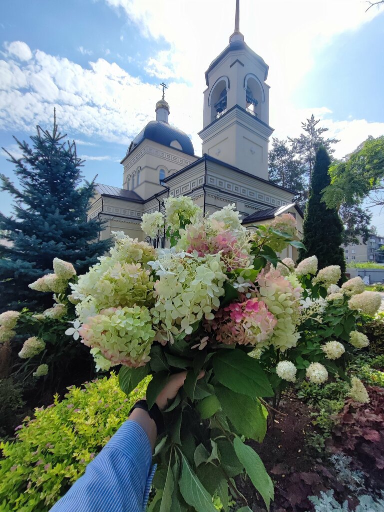 Ortodoks kiliseleri Tserkov Petra i Pavla na Mashmete, Voronej, foto