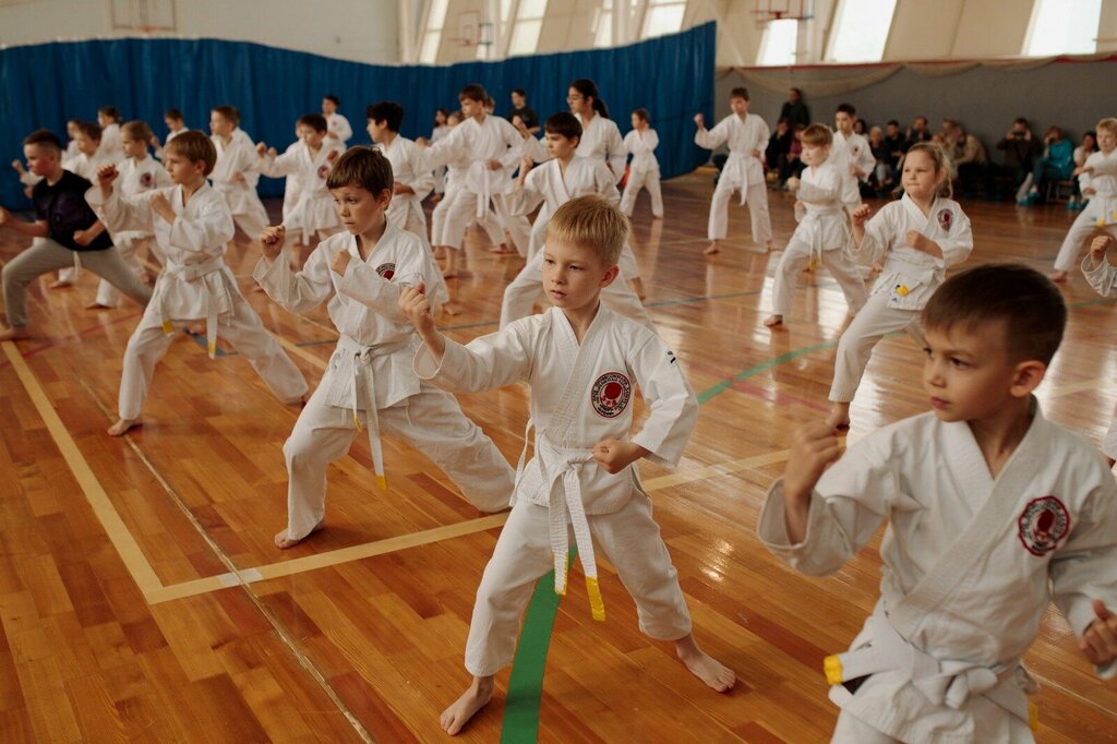 Spor kulüpleri Каратэ № 1, Moskova, foto