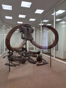 Narodni Muzej Kikinda (Autonomous Province of Vojvodina, Town of Kikinda), müzeler ve sanat galerileri  Kikinda'dan