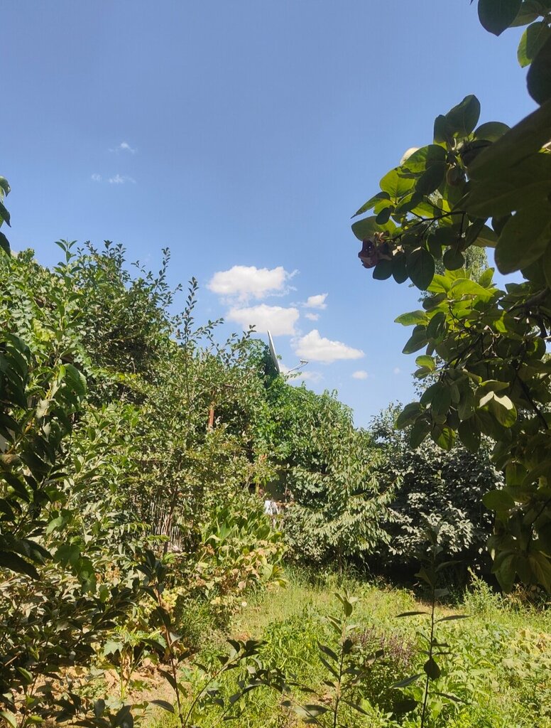 Uzmanlık hastaneleri City Dermatovenerologic Center, Duşanbe, foto