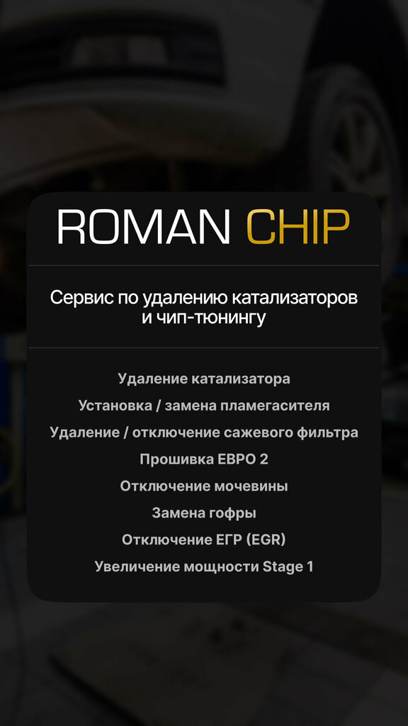 Otomobil servisi Roman Chip, Saratov, foto
