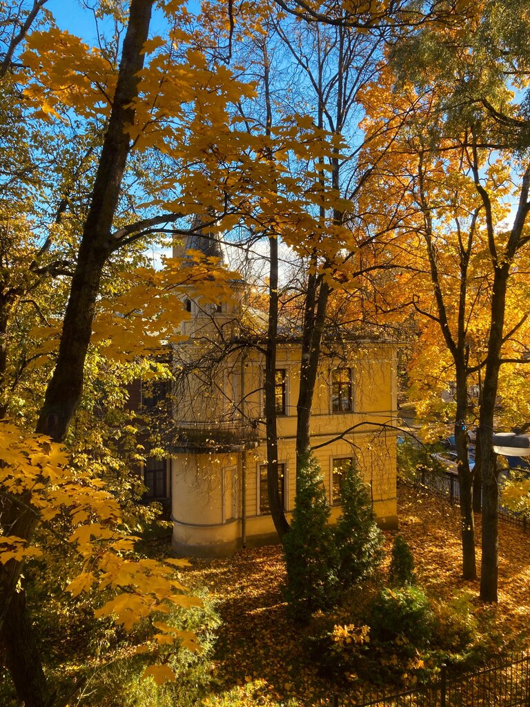 Turistik yerler Дом Н.Г. Полякова, Puşkin, foto