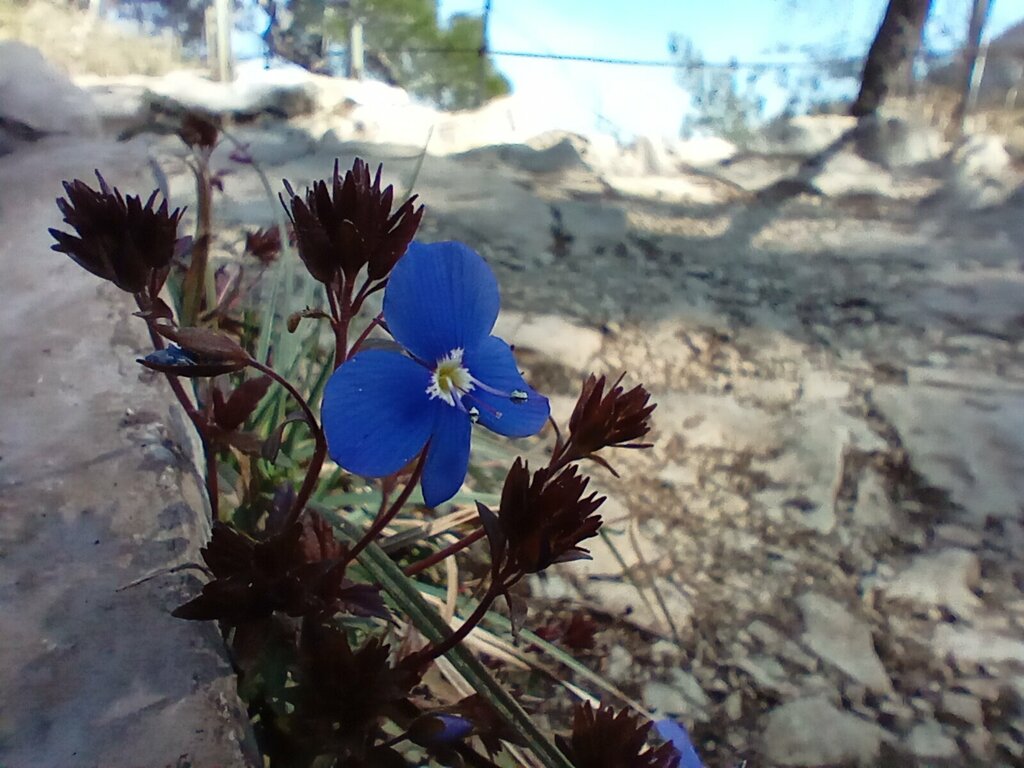 Doğa koruma alanı Sochi National Park, Soçi, foto