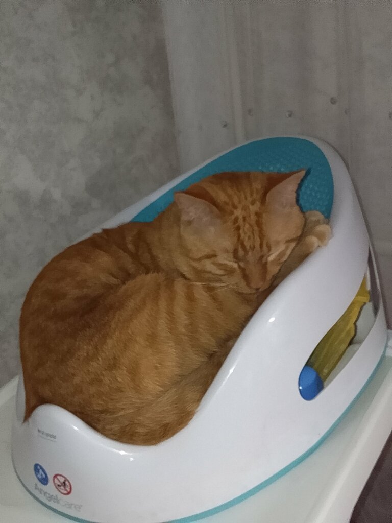 Taksi Taksi Matyra, Lipetsk, foto