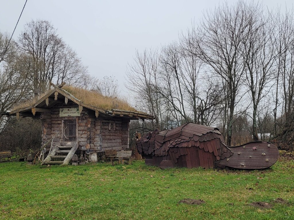 Park, sokak heykeli Бобёр, Moskova ve Moskovskaya oblastı, foto