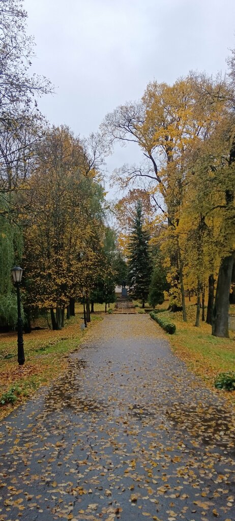 Anıt, heykel В.И. Ленин, Gorki, foto