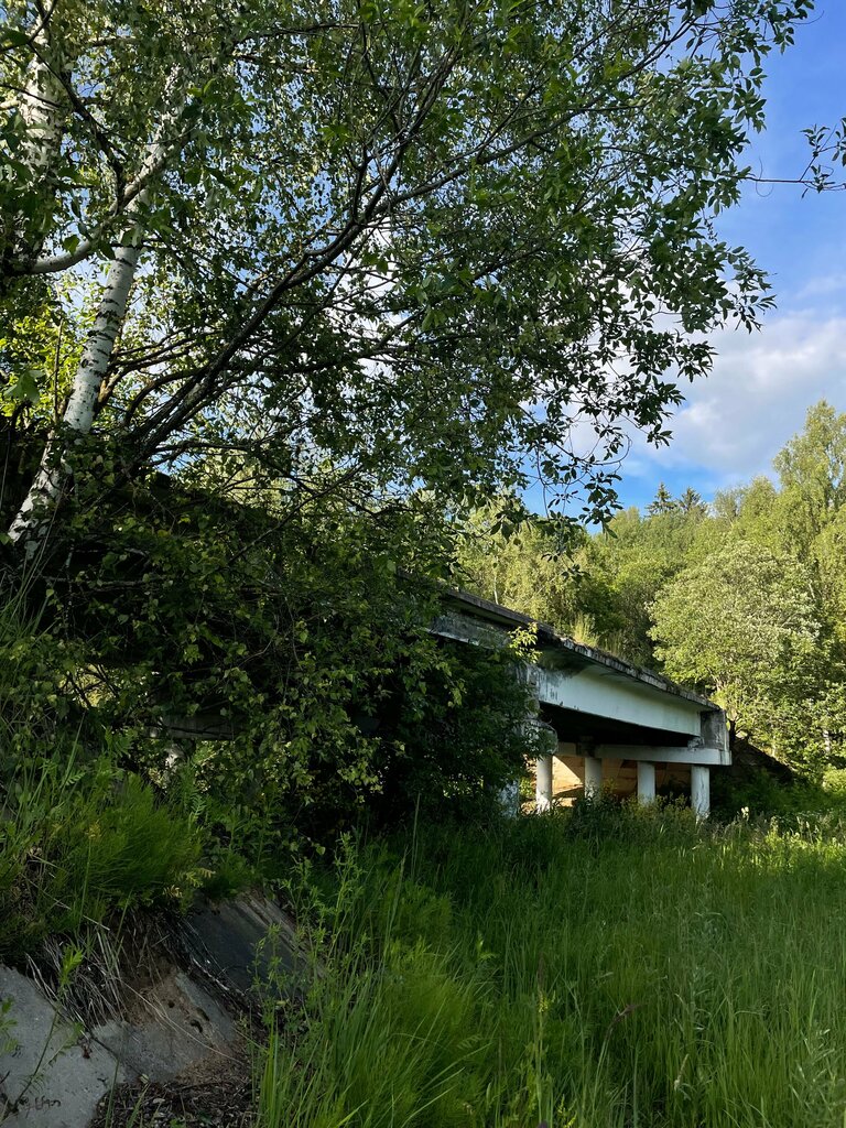 Plaj Пляж, Moskova ve Moskovskaya oblastı, foto