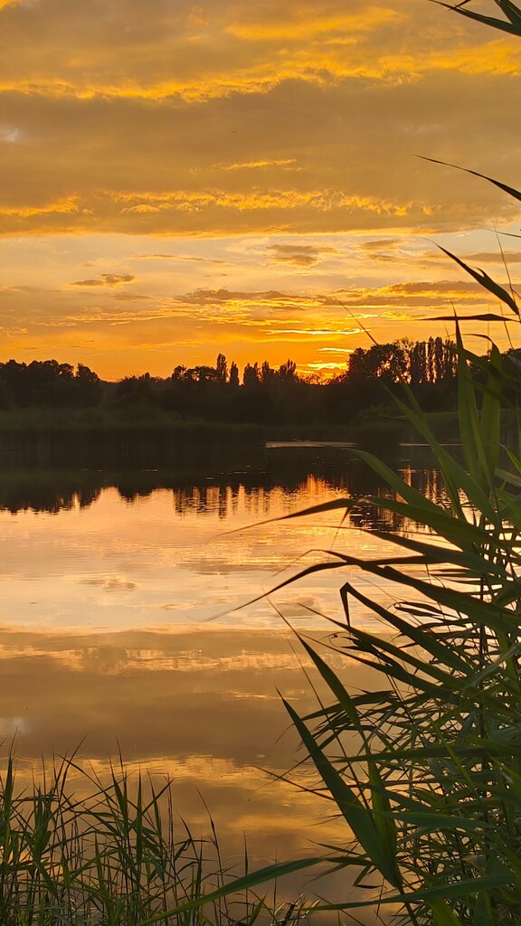 i̇skele Jetty , Saratov, foto