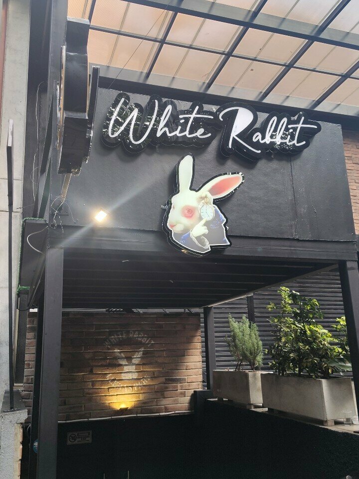 Bar White Rabbit Discoteca Cocteles Drink Party El Poblado, Medellin, foto