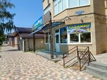 Аква-Мир (Dzerzhinskogo Street No:51), petshop  Stavropol'dan