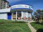 4 Сезона (No:5А, 22-y mikrorayon), tohum satan yerler  Angarsk'tan
