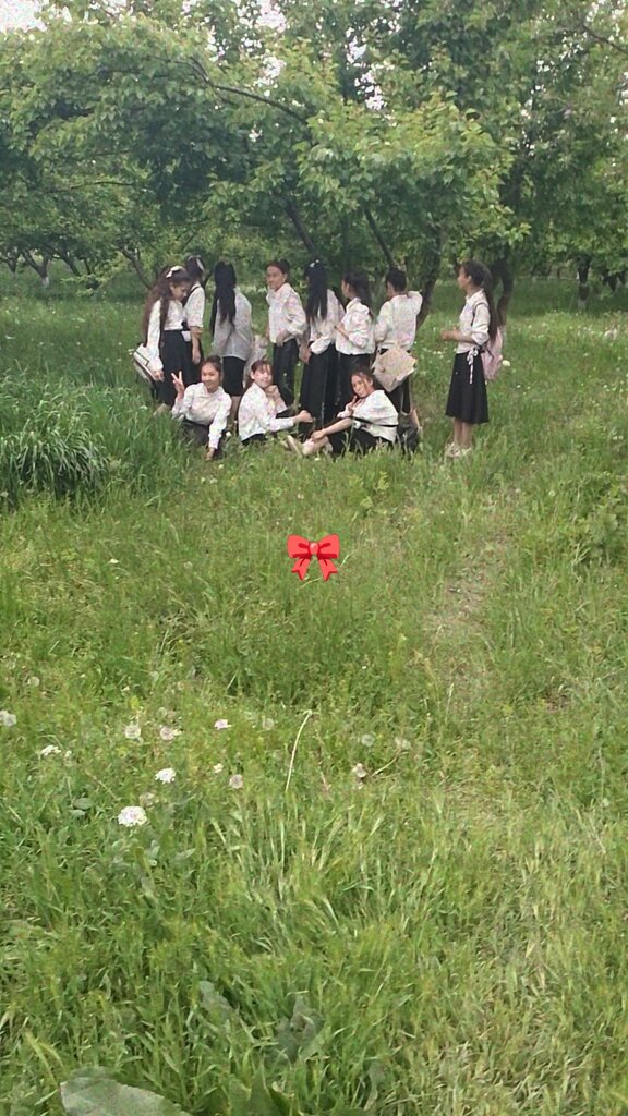 Ortaokul Школа № 15, Fergana eyaleti, foto