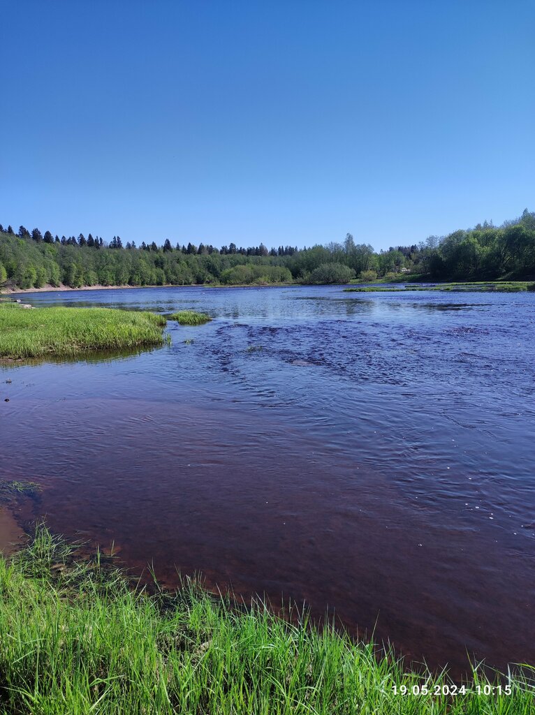 Pınar, çay Spring, stream, Saint‑Petersburg ve Leningradskaya oblastı, foto