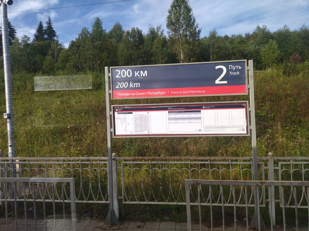 Tren istasyonu 200 км, Novgorodskaya oblastı, foto