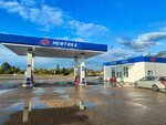 Нефтика (Pskov Region, Pytalovskiy District, derevnya Vyshgorodok), benzin istasyonu  Pskovskaya oblastından