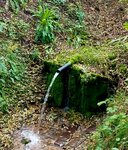 Spring, stream (Orlovskiy munitsipalny okrug, Platonovskoye selskoye poseleniye), pınar, çay  Orlovskaya oblastından