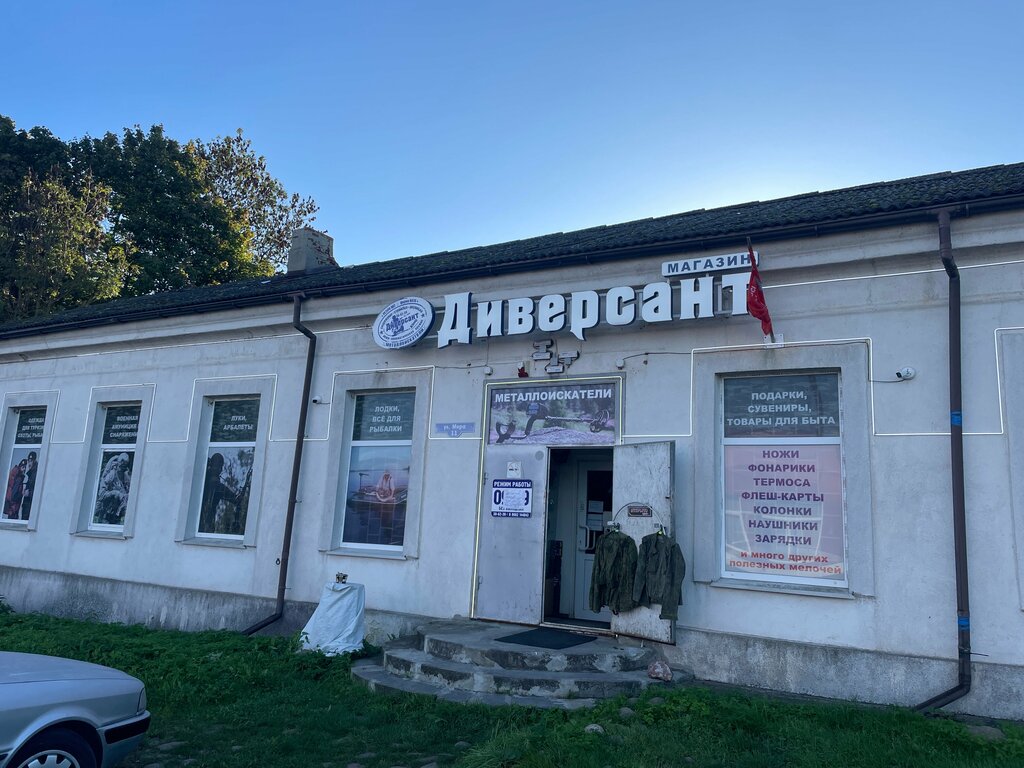 Metal dedektörü Diversant, Kaliningradskaya oblastı, foto