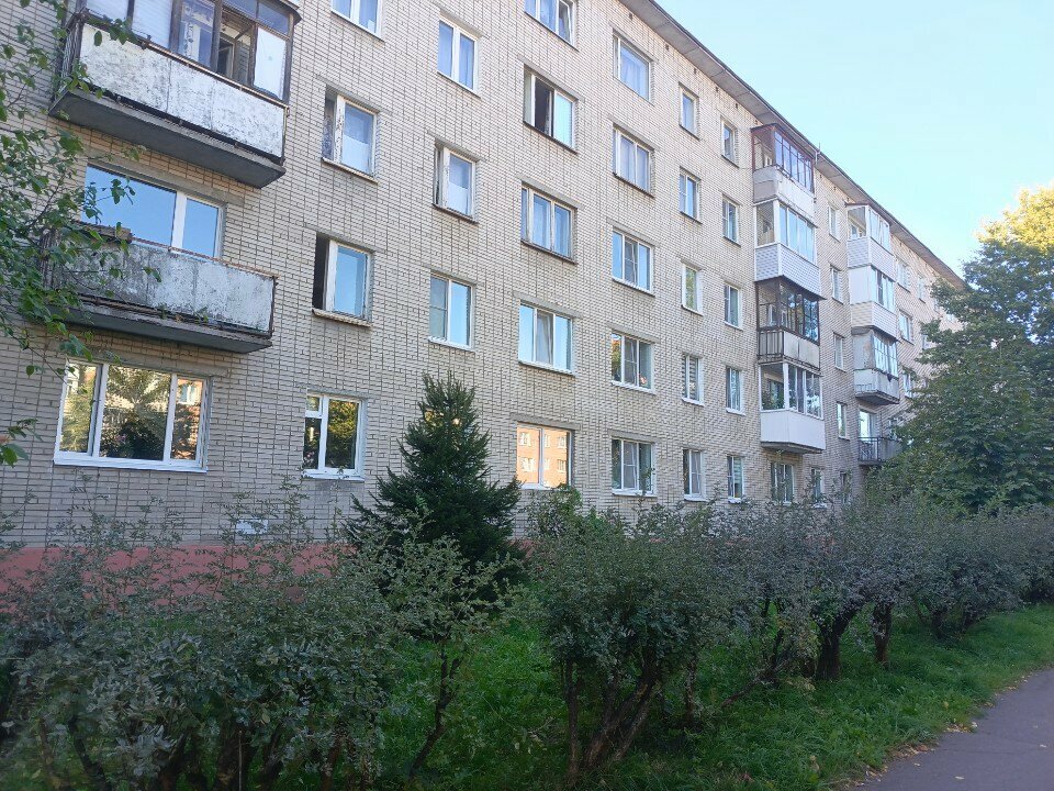 Sosyal yardım kuruluşları Gorodskoy tsentr zhilishchnykh subsidy, Lomonosov, foto