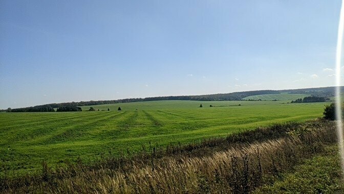 Orman урочище Попов лес, Nijegorodskaya oblastı, foto