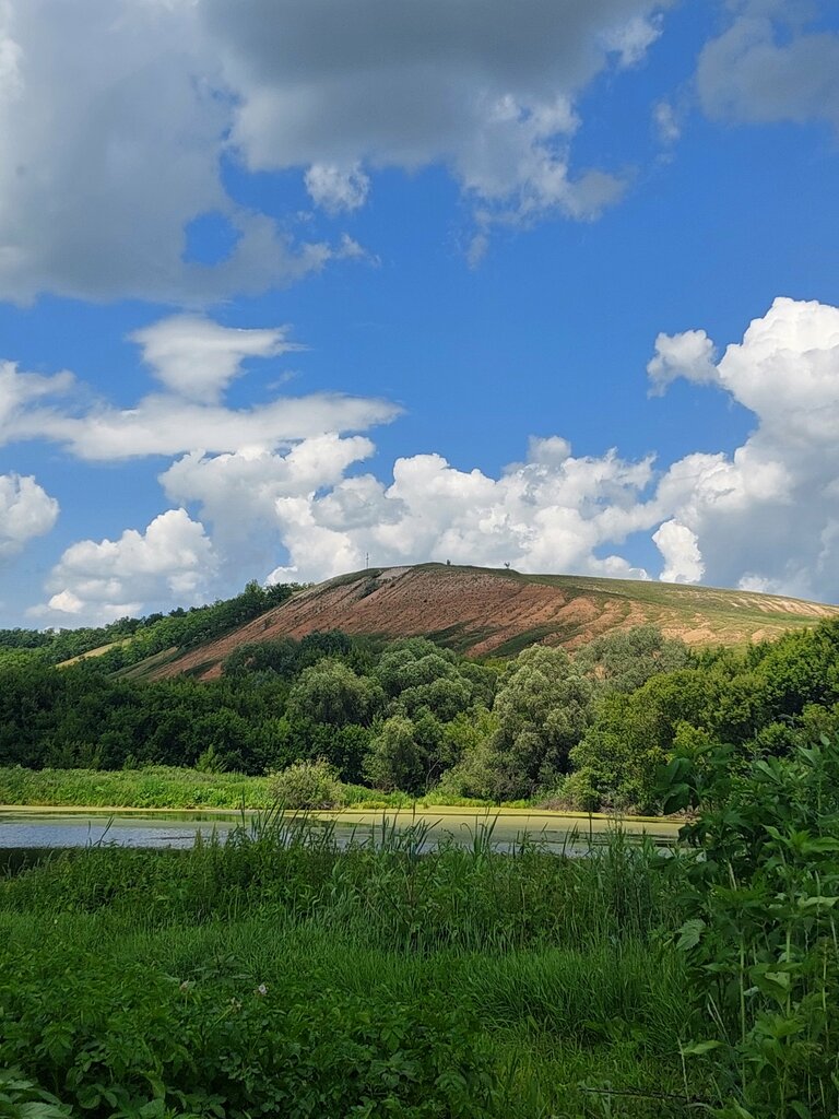 Doğa koruma alanı Памятник природы регионального значения Гора Красная, Samarskaya oblastı, foto