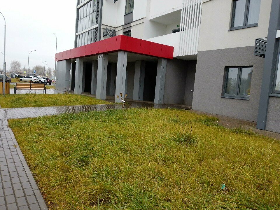 Video stüdyo ve çekim hizmetleri Studiya Podsolnukhov, Naberejniye Çelny (Yar Çallı), foto