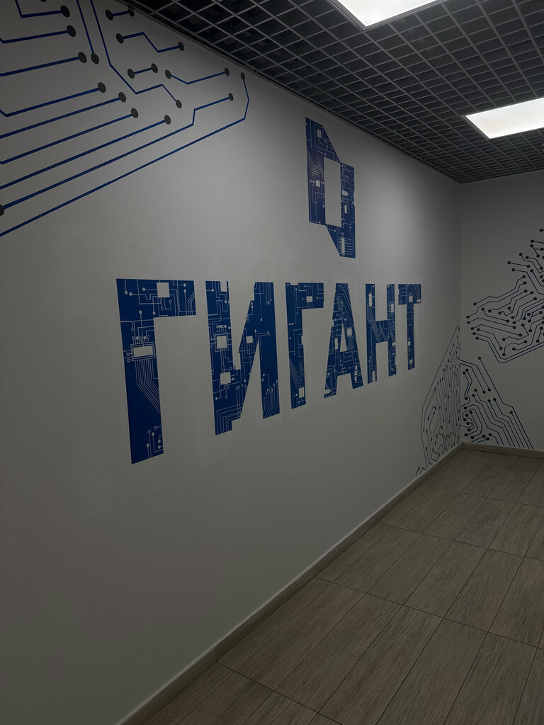 Bilgisayar ve ekipman toptancıları Gigant, Moskova, foto