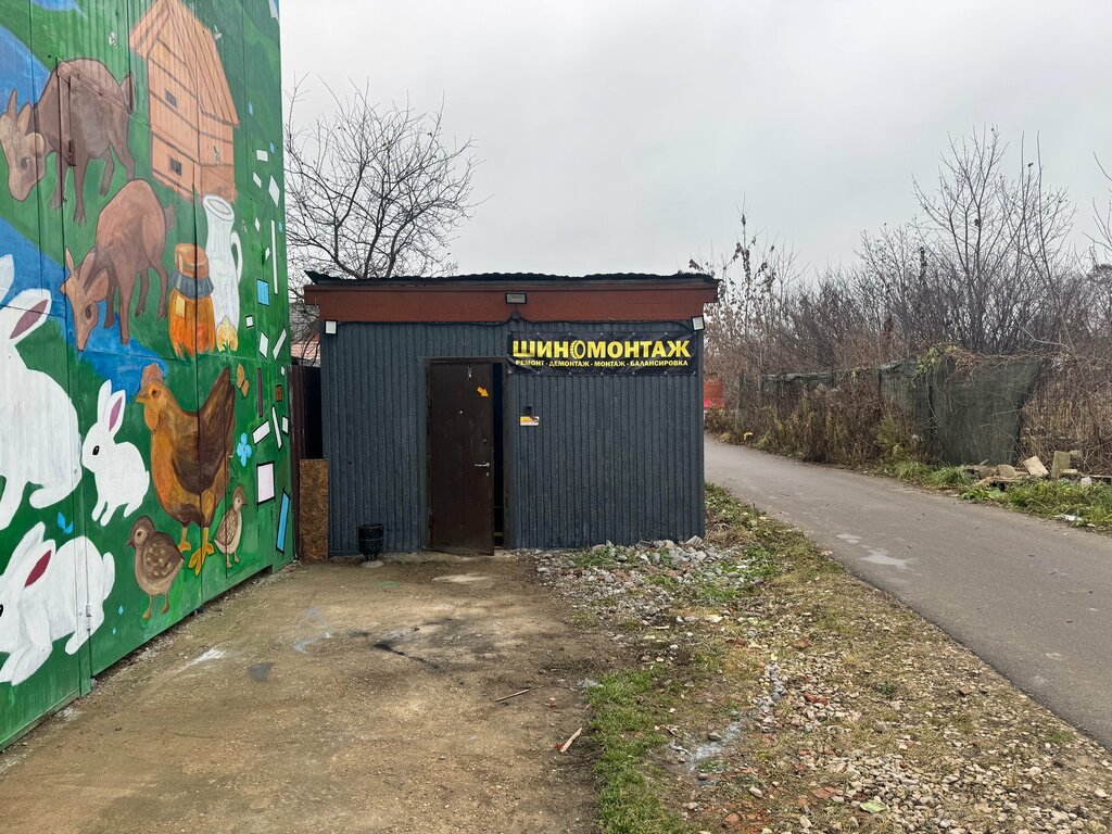 Oto lastik tamiri Zrnd Shinka, Moskova ve Moskovskaya oblastı, foto