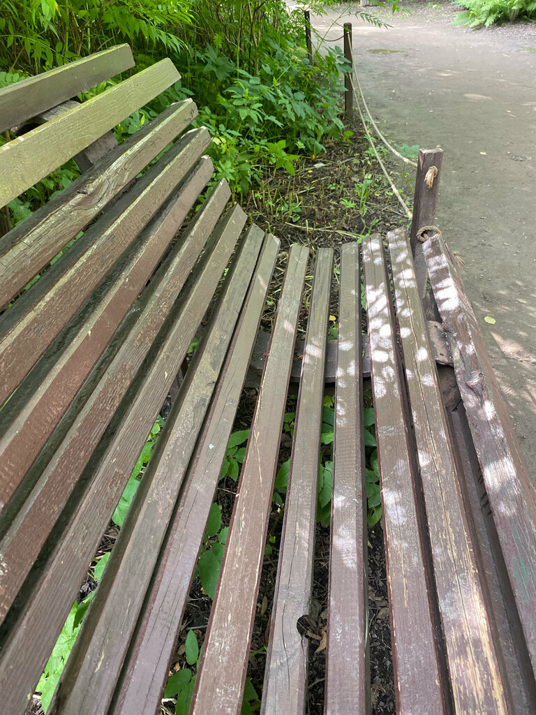 Bank Bench, Moskova, foto