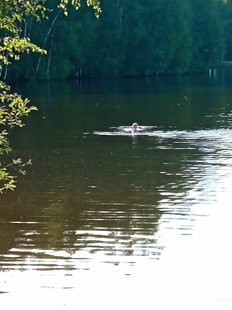 Avcılar ve balıkçılar Дом рыбака, Nijegorodskaya oblastı, foto