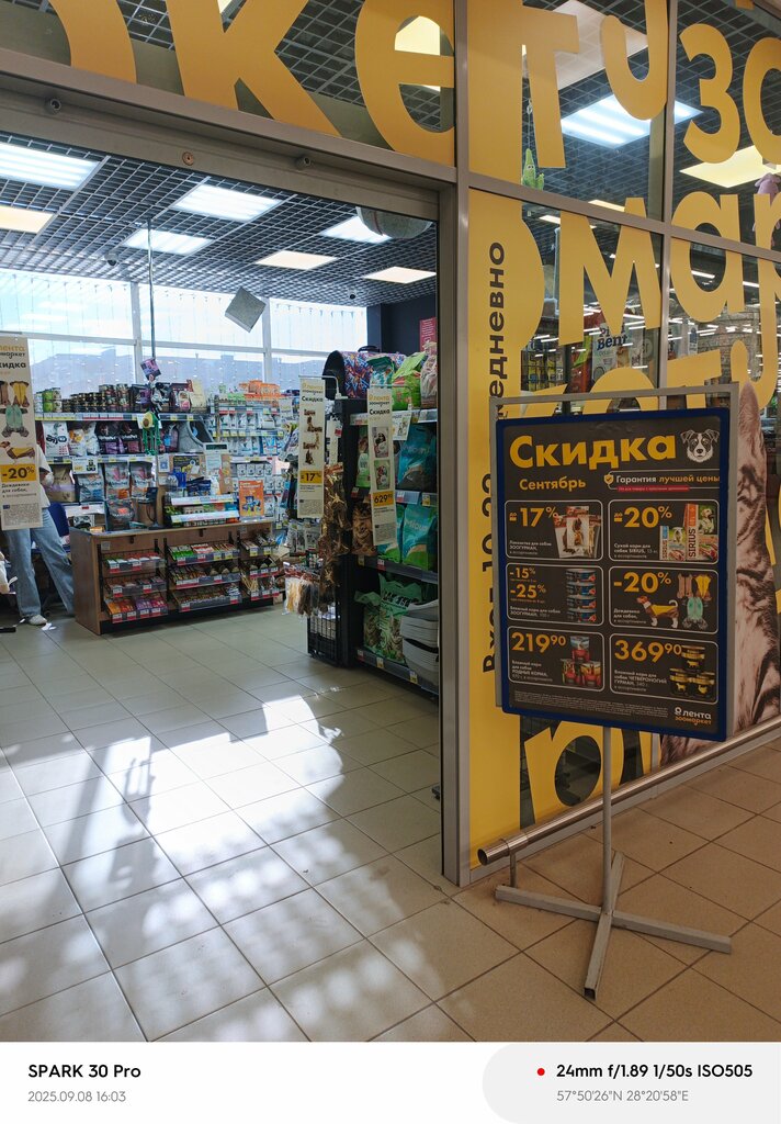 Petshop Lenta Zoo, Pskov, foto